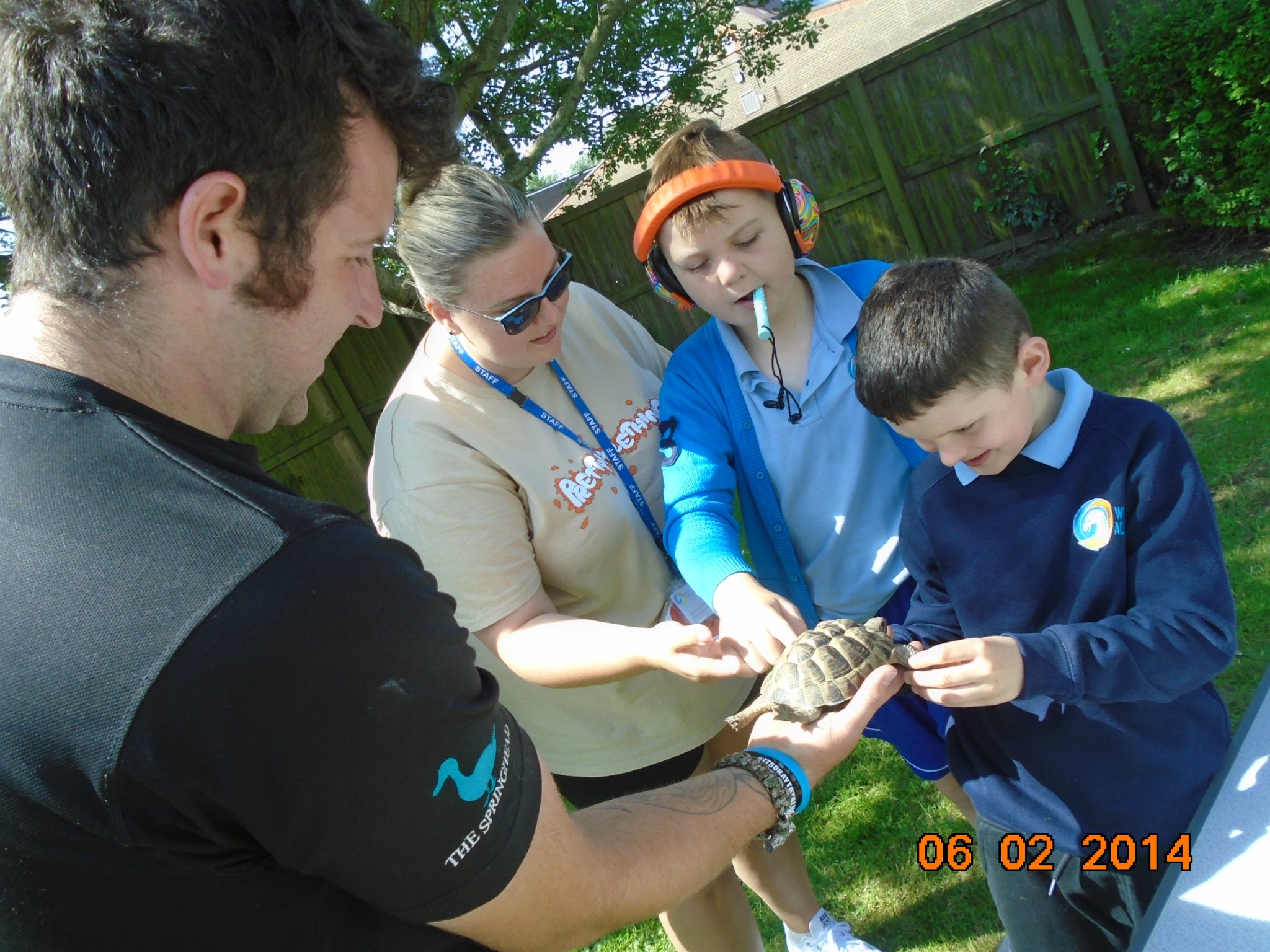 Wyvern Academy Website