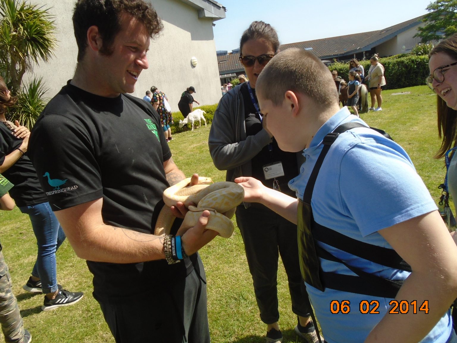 Wyvern Academy Website